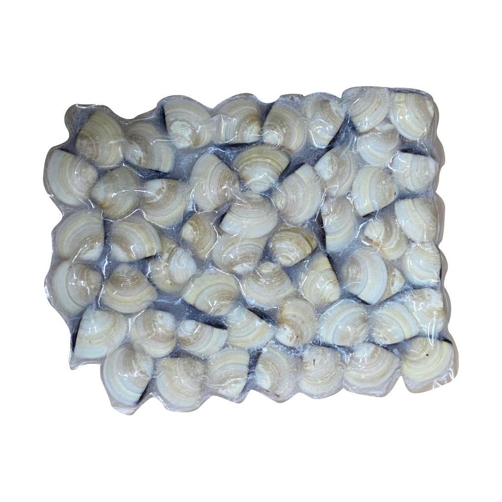 White Clam 500g